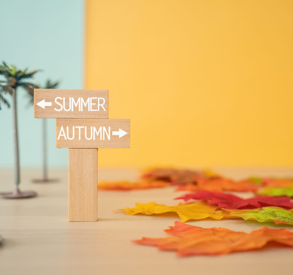 Summer is Over, Back to School - Classful