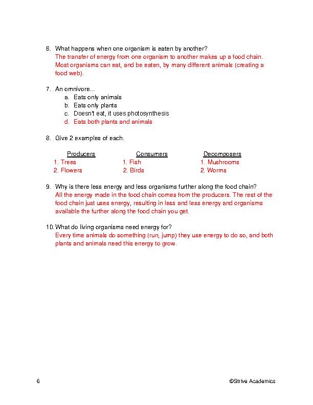 The Food Chain English Reading Comprehension Worksheet - Classful