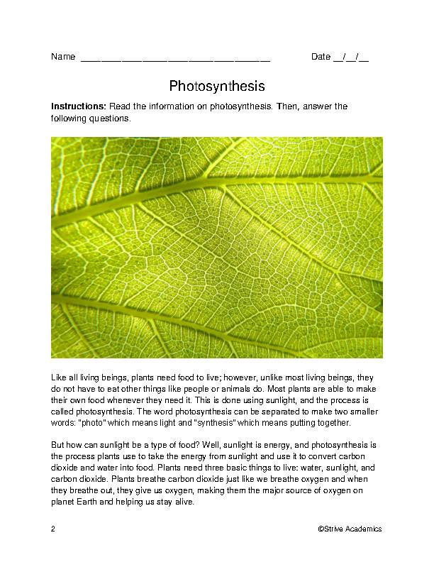 Photosynthesis English Reading Comprehension Worksheet - Classful
