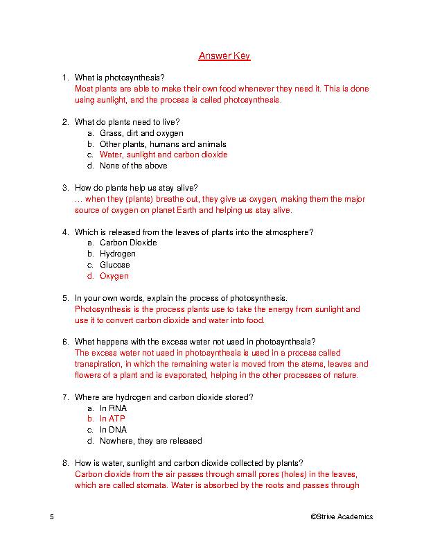 Photosynthesis English Reading Comprehension Worksheet - Classful