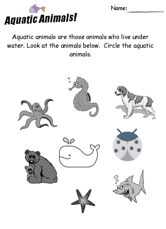 All About Animals - 40 Printable Worksheets - Science - Kindergarten ...