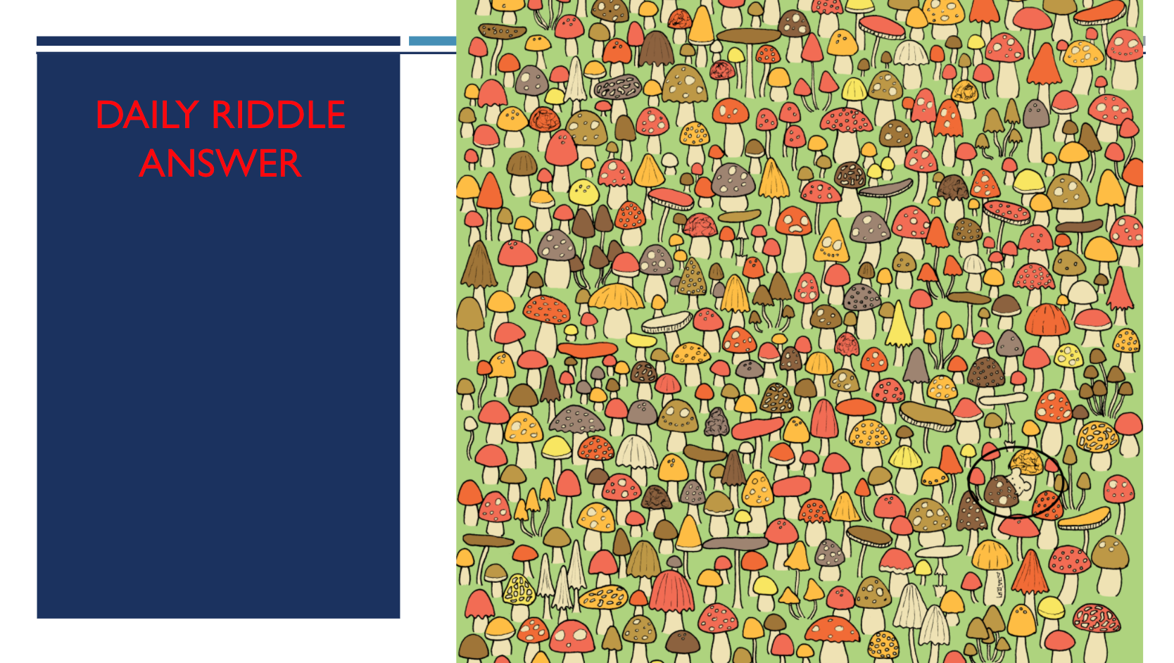 Daily Riddles, Brain Teasers, Problem Solving, Warm Ups and more Fun ...