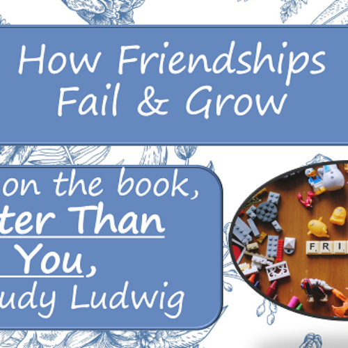 Based On a book by Trudy Ludwig READY TO USE w NO PREP Friendship ...