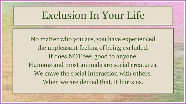 Book-based Diversity Tolerance Exclusion Bulling Prevention Ready to ...