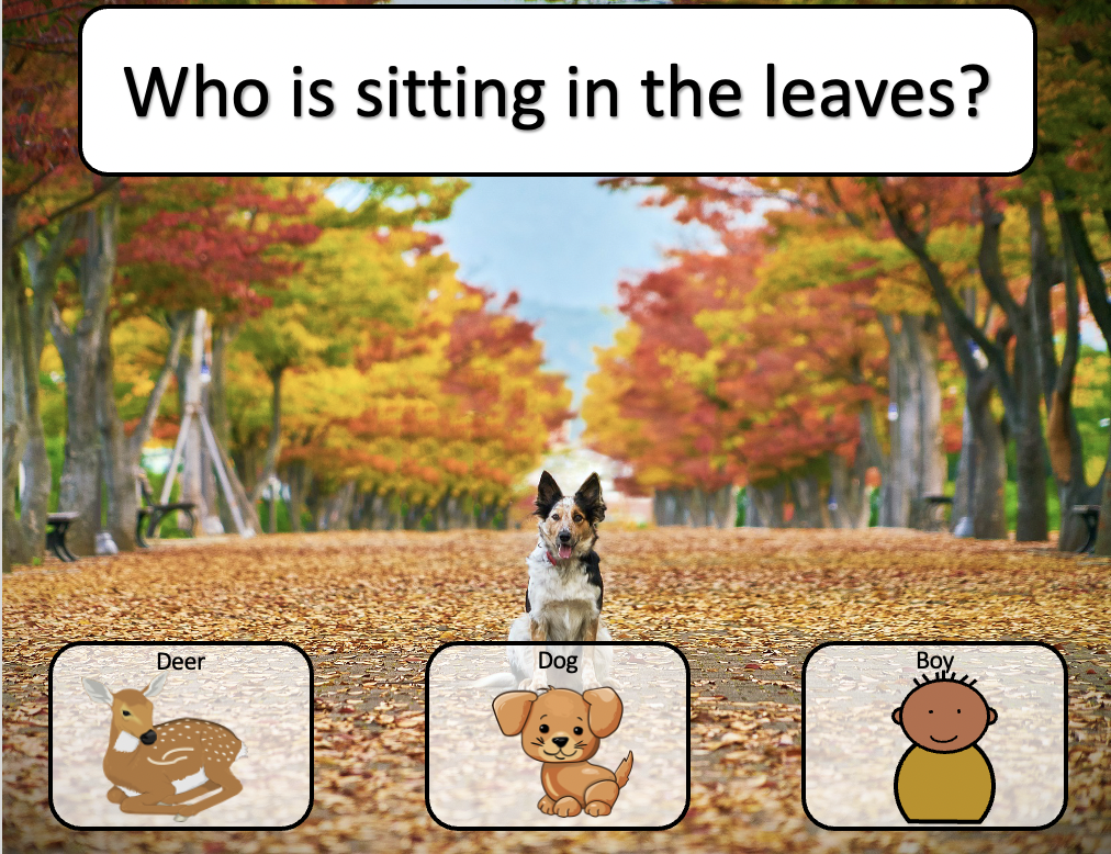 Fall/Autumn Themed WH questions with visual answer choices - Classful