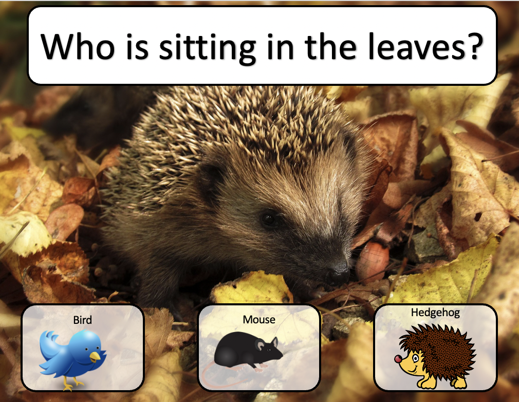 Fall/Autumn Themed WH questions with visual answer choices - Classful