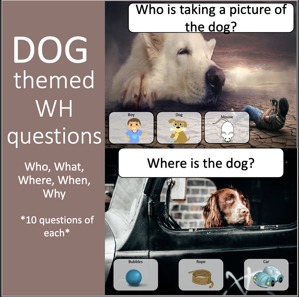 Dog Themed WH questions with visual answer choices - Classful
