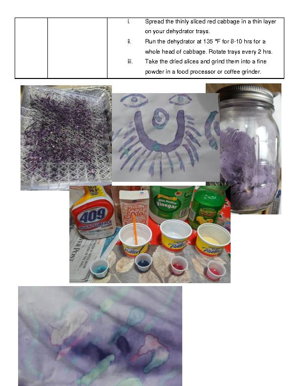 Make 3 Types of Red Cabbage pH indicator (liquid, pH paper, powder ...
