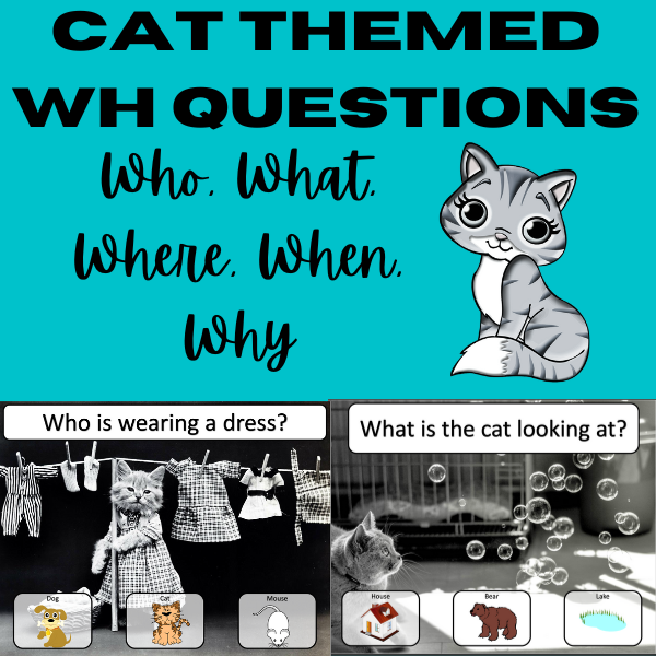 Cat Themed WH questions, Who, what, where, when, why - Classful