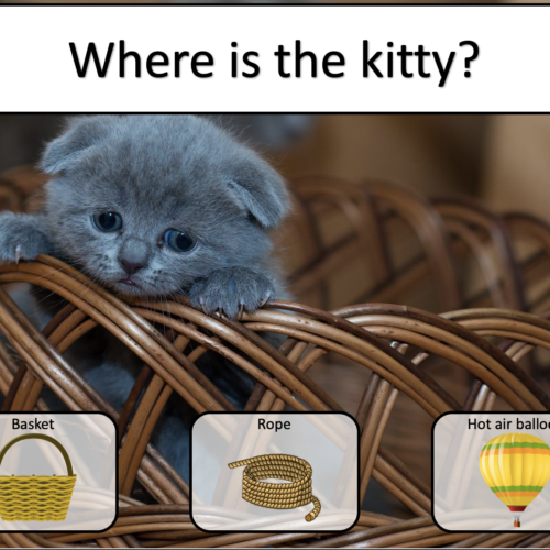 Cat Themed WH questions, Who, what, where, when, why - Classful