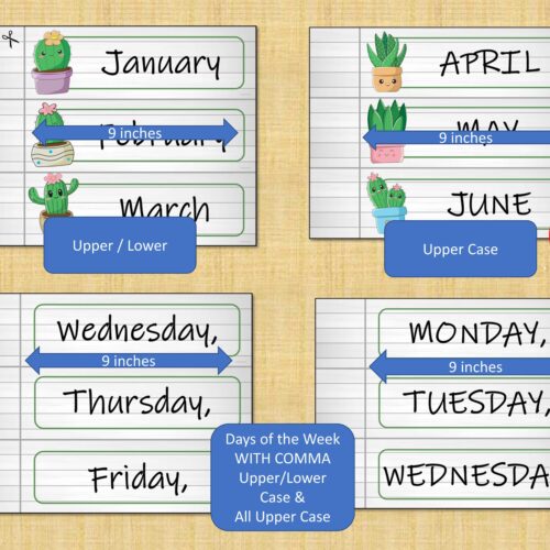 Daily Flip Calendar 2022 to 2051 Happy Succulent Theme - Classful