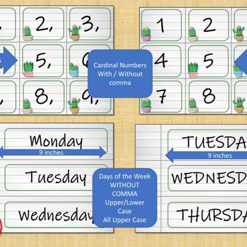Daily Flip Calendar 2022 to 2051 Happy Succulent Theme - Classful
