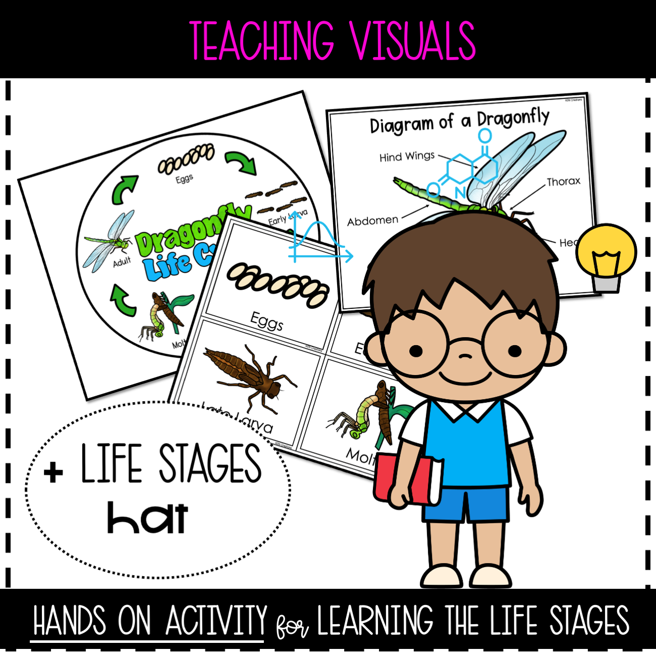 Send Home SCIENCE unit DRAGONFLY l Dragonfly Lifecycle Activities ...