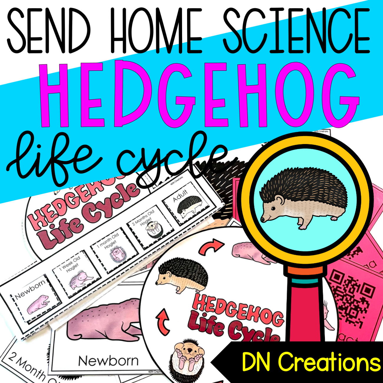 Send Home SCIENCE unit HEDGEHOG l Hedgehog Lifecycle Activity l All ...