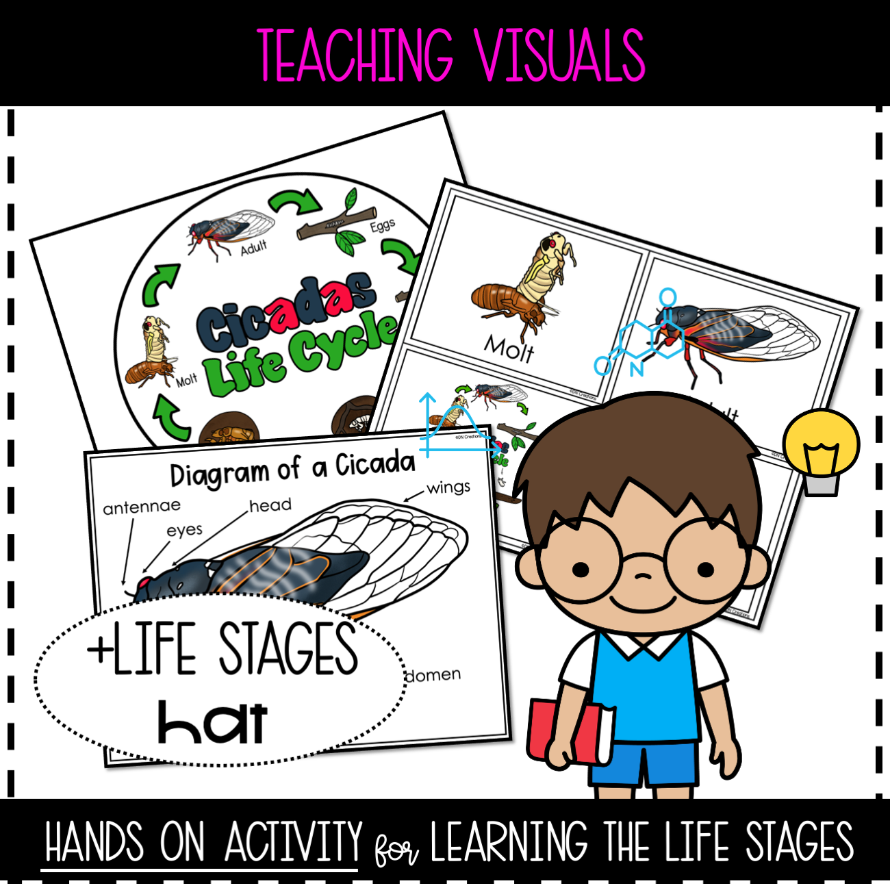 Send Home SCIENCE unit CICADA l Cicada Lifecycle Activities l Cicada ...