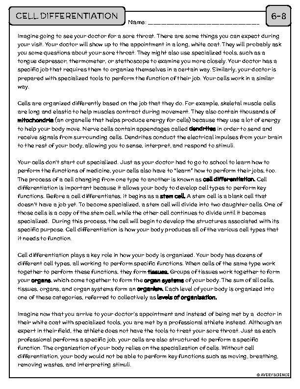 Cell Differentiation Reading Passage and Questions - Classful