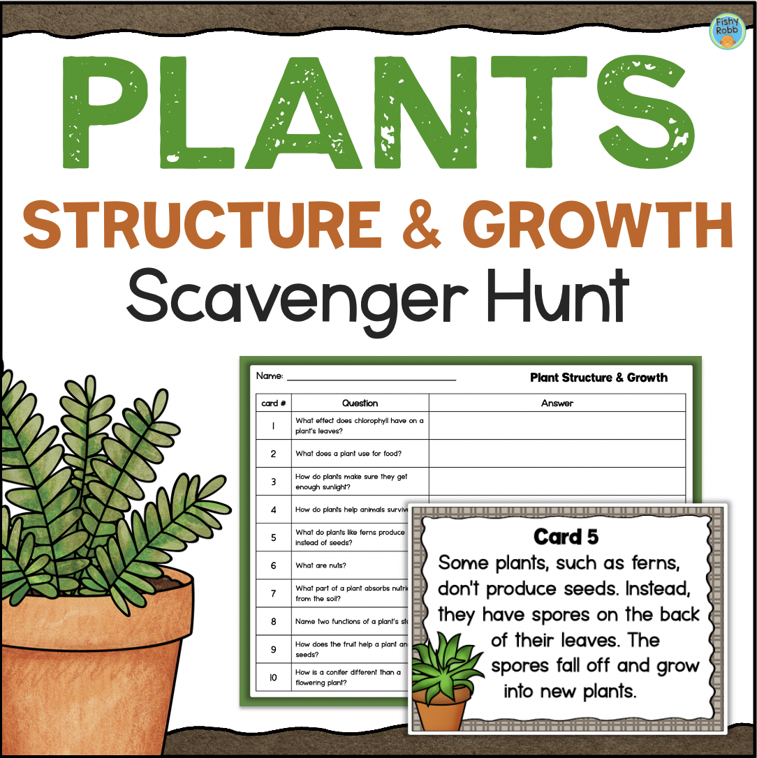 Plants Plant Structure and Adaptations Activity Scavenger Hunt - Classful