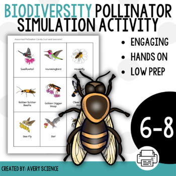 Importance of Biodiversity Forest Simulation Worksheet - Classful