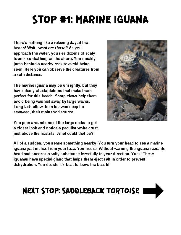 Galapagos Island Adaptations Tour Gallery Walk - Classful