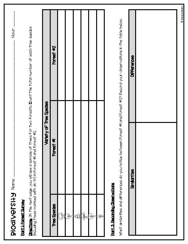 Importance of Biodiversity Forest Simulation Worksheet - Classful