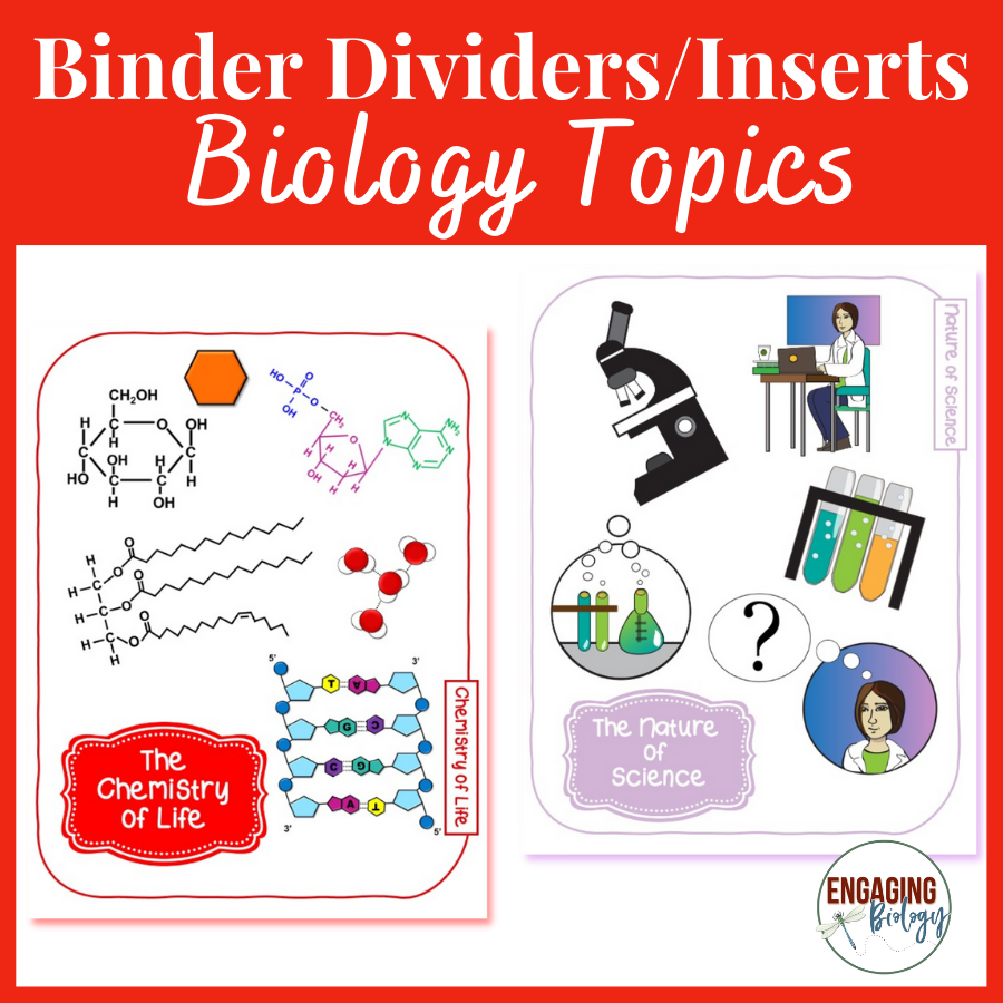 Tabbed Biology Binder Inserts Interactive Notebooks - Classful