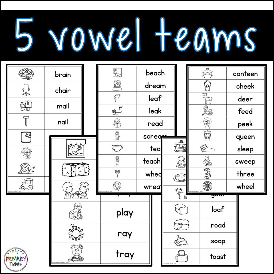 Vowel Teams Long Vowel Interactive Notebooks with Differentation - Classful