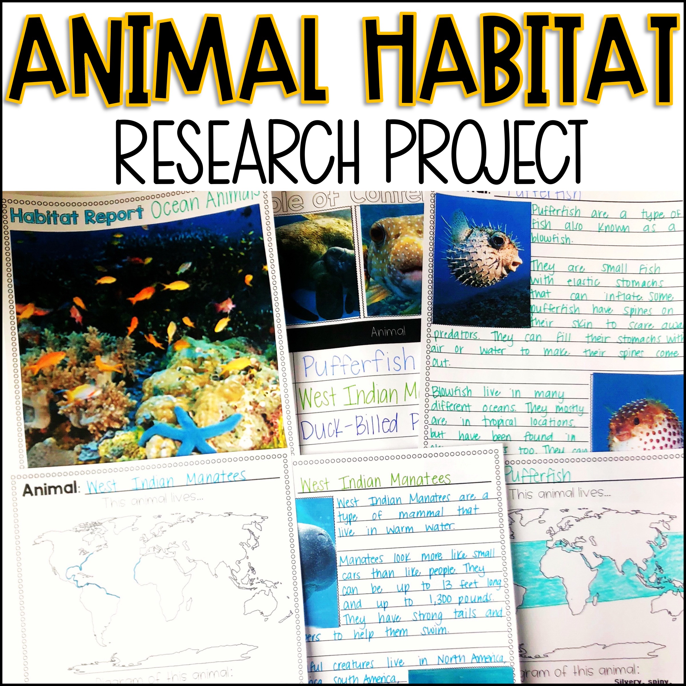 Animal Research Report Template | Informative Writing Prompt - Classful