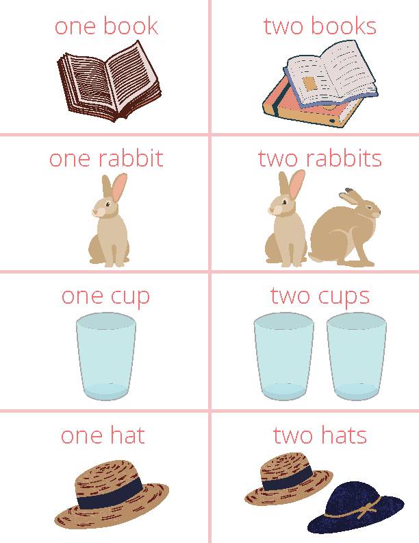 Regular Plurals Volume 1-Printable Flashcards - Classful