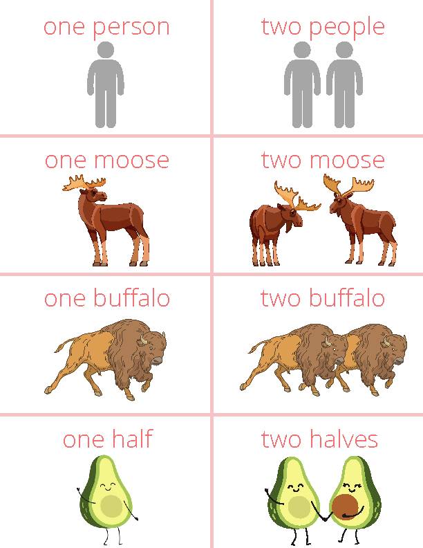 Irregular Plurals Volume 2-Printable Flashcards - Classful