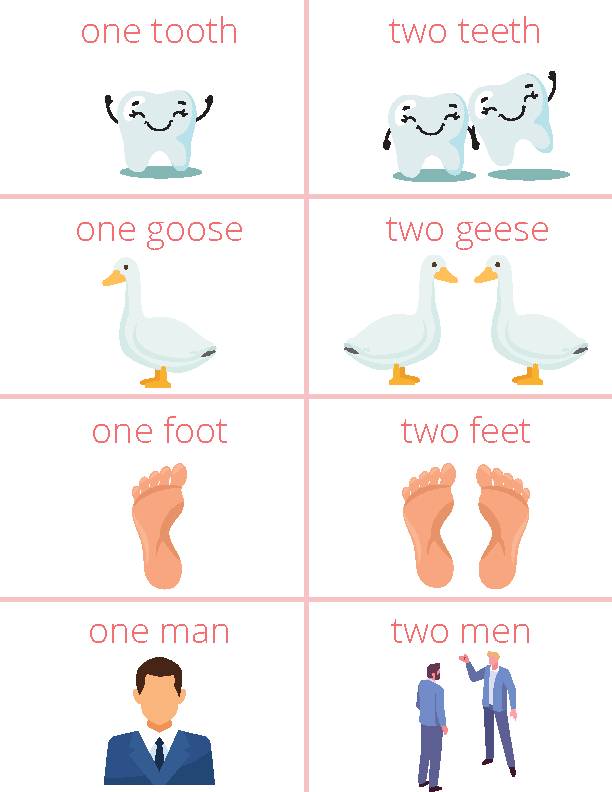 Irregular Plurals Bundle-Printable Flashcards - Classful