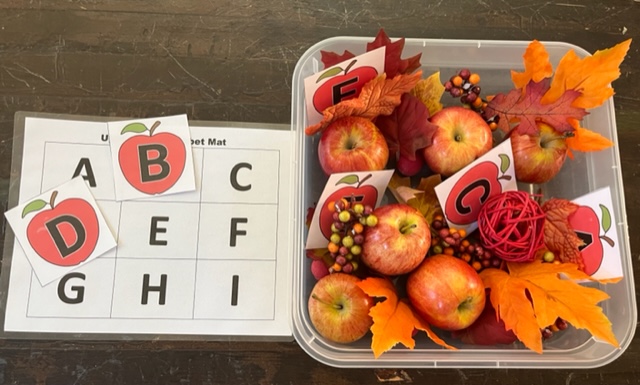 Fall Sensory Bins Activities & Centers For Preschool Special Education ...