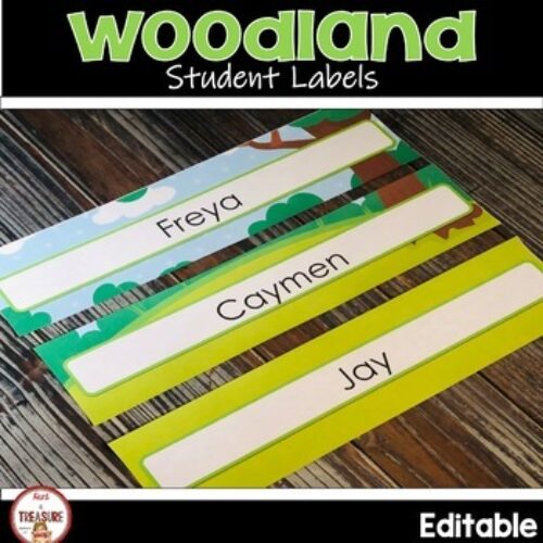 Camping and Woodland Animal Classroom Decor Name Plates and Labels ...