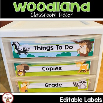Camping and Woodland Animal Classroom Decor Name Plates and Labels ...