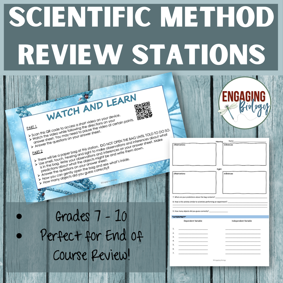 Scientific Method Review Stations - Classful