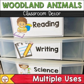 Woodland Animals Theme Classroom Decor | Visual Schedule and Labels ...