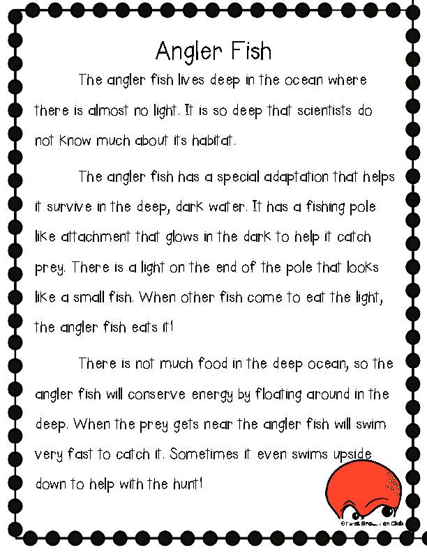 Ocean Animals Reading Comprehension Bundle! - Classful