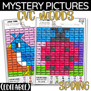 Spring CVC Words Practice Coloring Pages Editable Worksheets - Classful