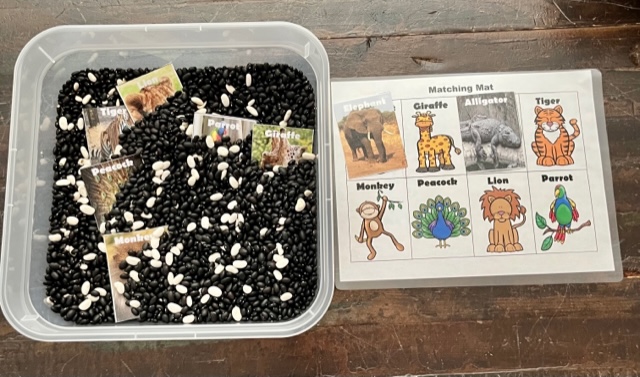 Zoo Animals Sensory Bins Activities & Centers For Preschool Special ...