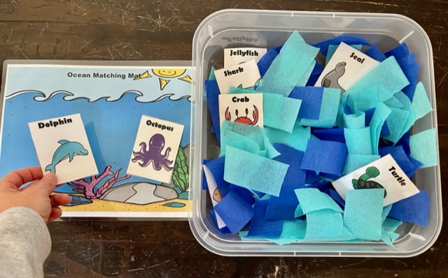 Ocean Animals Sensory Bins Activities & Centers For Preschool Special ...