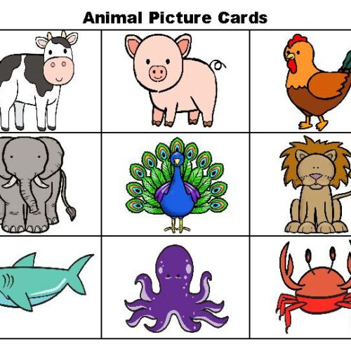 FREE Animals Sensory Bins Sorting Activity For Preschool Special ...