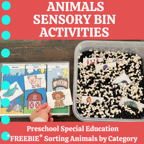 FREE Animals Sensory Bins Sorting Activity For Preschool Special ...