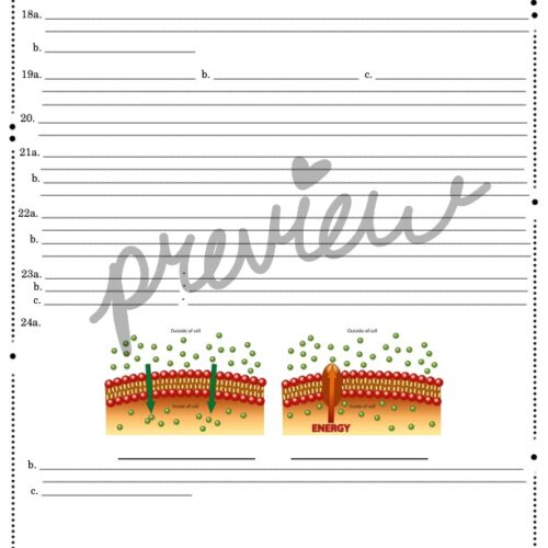 Cell Transport Osmosis and Diffusion Task Cards - Classful