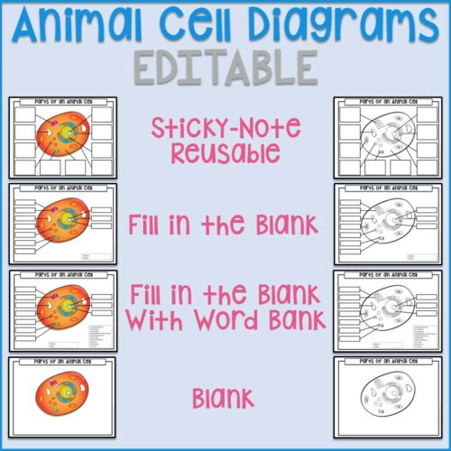 Label the Cells | Plant and Animal Cells | Editable | Digital - Classful