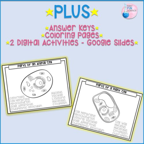 Label the Cells | Plant and Animal Cells | Editable | Digital - Classful