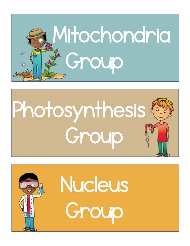 Group Labels for Science - Classful