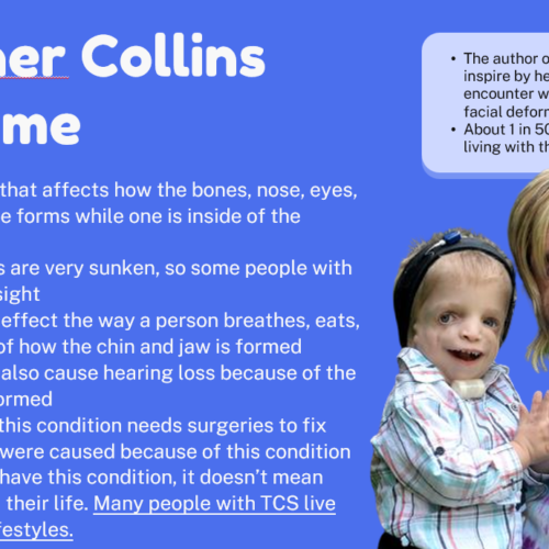 Wonder Book Introductory PPT - Classful