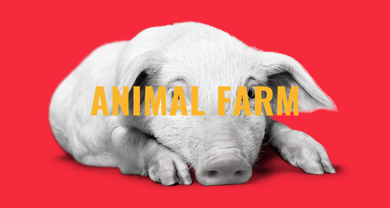Animal Farm Introduction PPT - Classful