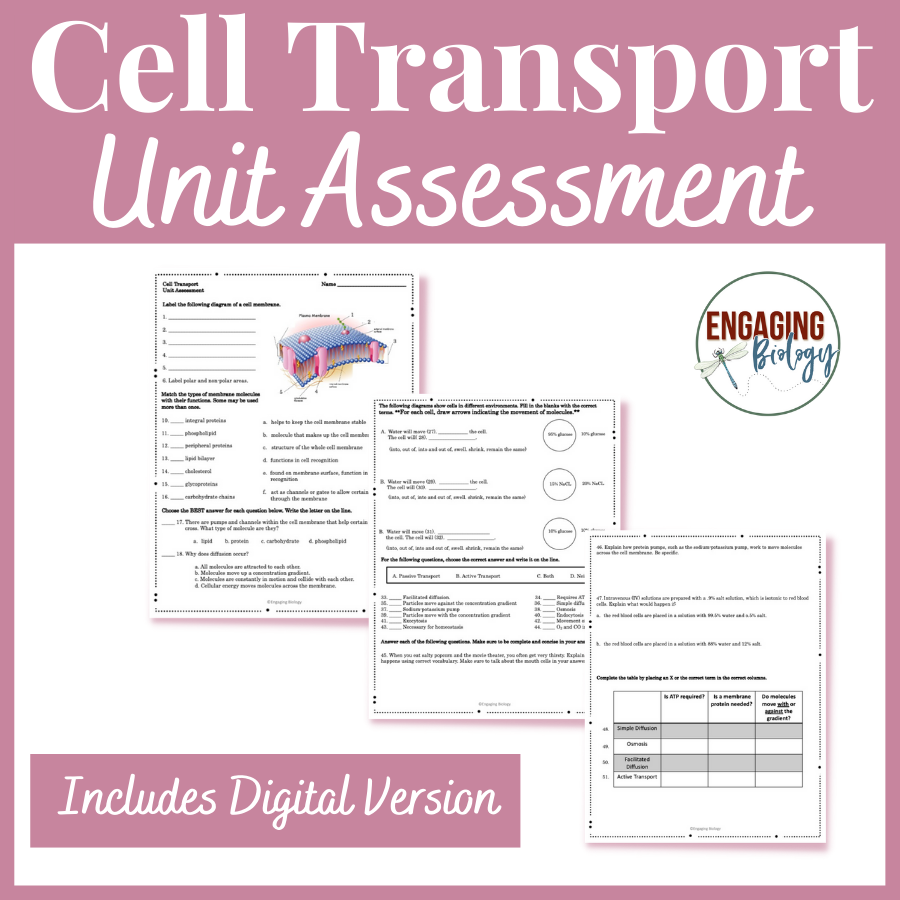Cell Transport Unit Assessment - Classful
