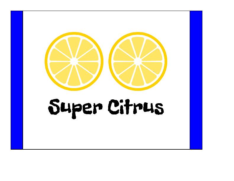 Citrus-Themed Behavior Clip Chart - Classful