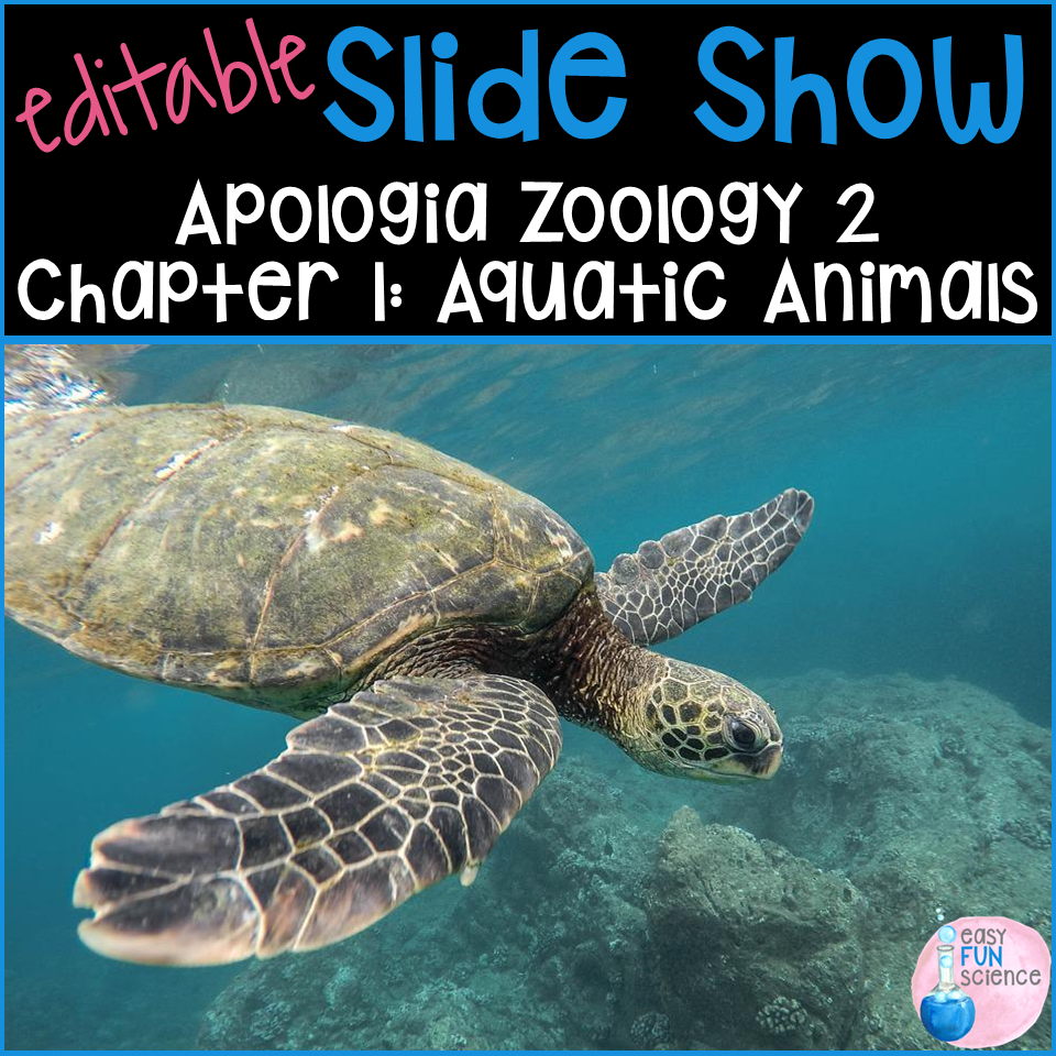Apologia Zoology 2 Swimming Creatures Chapter 1 Slideshow | EDITABLE ...